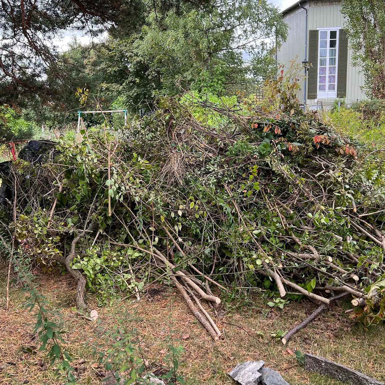 Grenar och trädgårdstips - Bromma - Tiptapp
