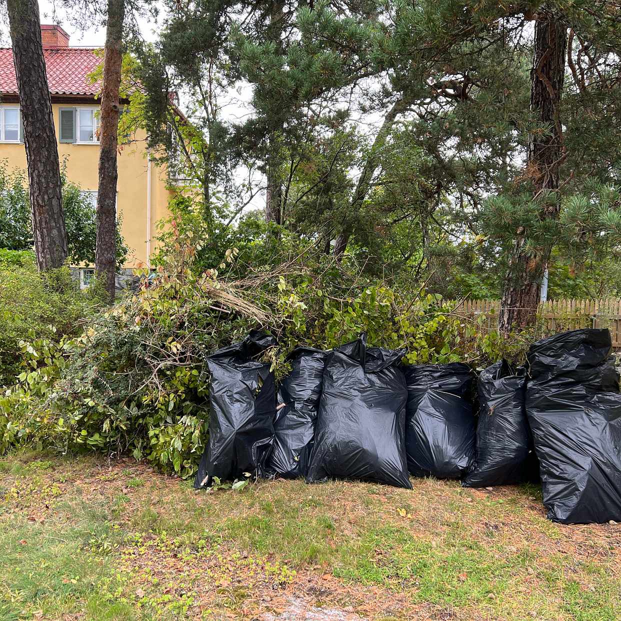 Grenar och trädgårdstips - Bromma - Tiptapp