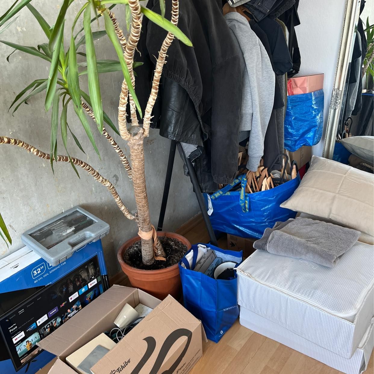 Moving place - - Tiptapp